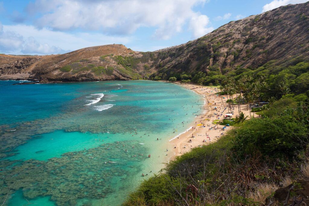 New Patients - Grima Dermatology and Surgery - Honolulu, HI